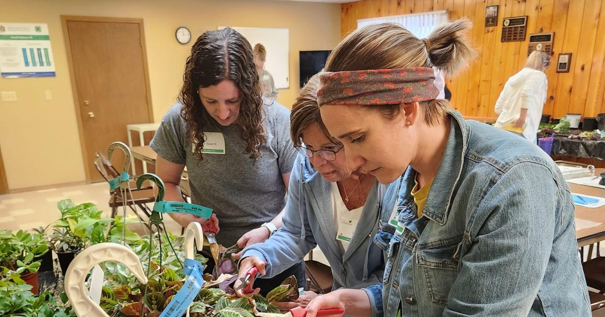 Register Now To Become An Sdsu Extension Master Gardener